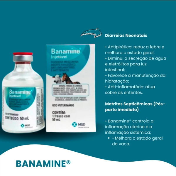 Banamine Injetável 50ml Msd - Agropec Lesse